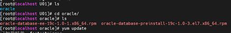 linux操作系统下oracle 19c数据库的安装及常见问题的处理 linux 安装19c oracle 连接不上 csdn博客