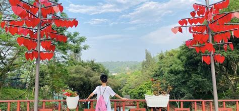 Khái Quát Khu Du Lịch Ao Vua Ba Vì Ba Vì Home