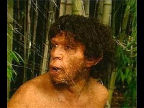 Trilogy Of Life Walking With Cavemen Homo Erectus Youtube