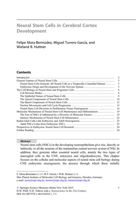 Pdf Neural Stem Cells In Cerebral Cortex Development