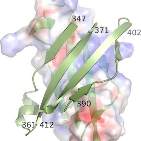 Three Dimensional Representation Of Fc Yte Ch3 Dimerization Interface Download Scientific