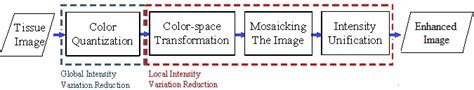 2 Schematic View Of The Proposed Pre Segmentation Algorithm Download