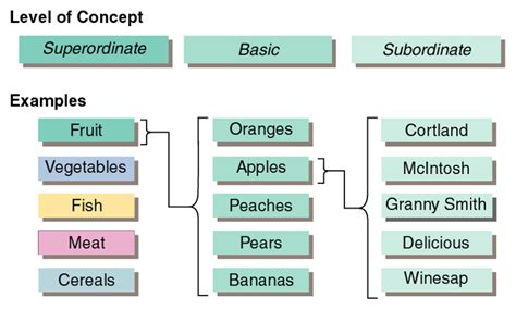 What Is Hyponym Of Vegetable Fabalabse What Is Hyponym Of Vegetable Fabalabse