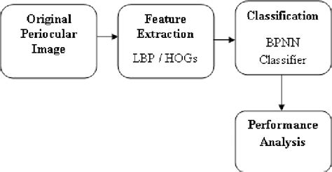 Figure 1 From Human Identification Using Periocular Biometrics