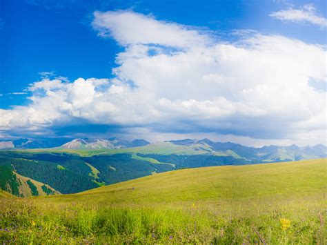 Xinjiang Kalajun Green Grassland Blue Sky Scenery Preview
