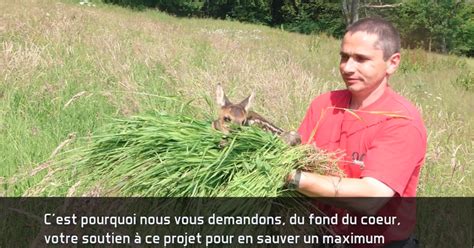 S O S Sauvons Les Faons Jura Heroslocaux Ch Crowdfunding De