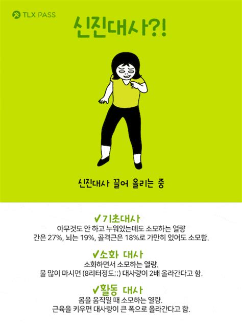 살 안 찌는 체질 만들기 기초대사량 높이는 운동 5가지 인스티즈instiz 이슈 카테고리