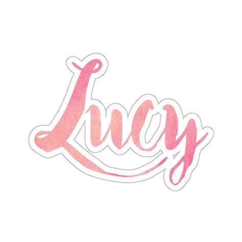 Lucy Name Sticker Pink Name Sticker Lucy Girls Name Sticker Custom