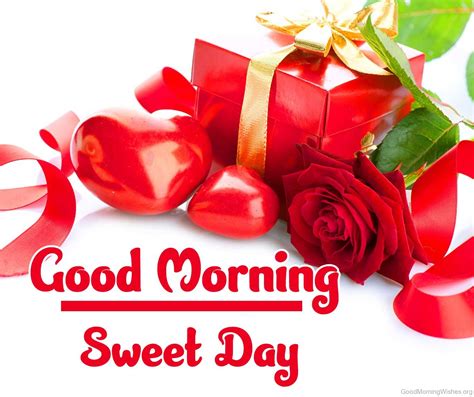 Top 999 Good Morning Rose Images Hd Amazing Collection Good Morning