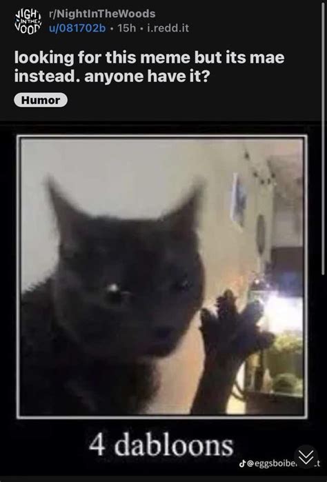 Dont Worry Bro I Gotchu Rnightinthewoods