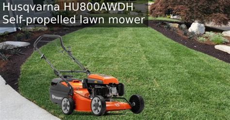 Best Self Propelled Lawn Mowers - Haute Life Hub