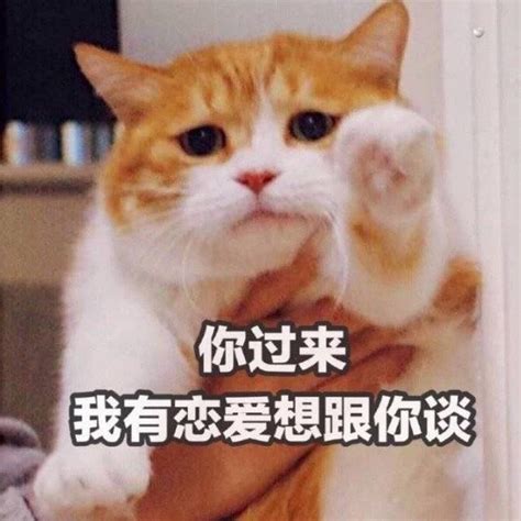 和十二星座戀愛是什麼感覺 每日頭條