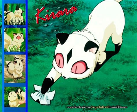 13 Best Kirara Images On Pinterest Inuyasha Manga Anime And Miroku