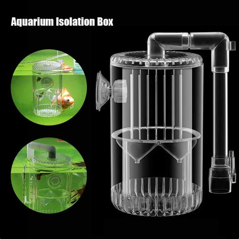 원통형 어항 사육 격리 상자 투명 수족관 인큐베이터 소형 프라이 부화실 수족관 액세서리 물고기 용품 Aliexpress