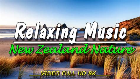 편안한 힐링 음악 💖 치유 음악으로 마음과 몸을 깨끗이 씻어 보세요 치유의 조화 신체적 감정적 영적 안녕을 위한 음악 Youtube