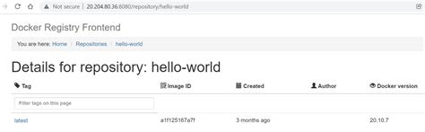 How To Setup And Host A Private Docker Registry
