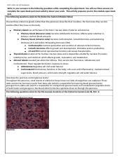 Lab8 Exercise 1 Docx HSC 105L Lab 08 Worksheet Write In Your Answers To The Following