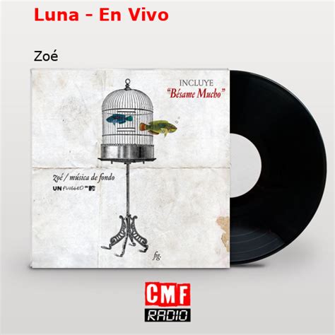 La Historia Y El Significado De La Canción Luna En Vivo Zoé