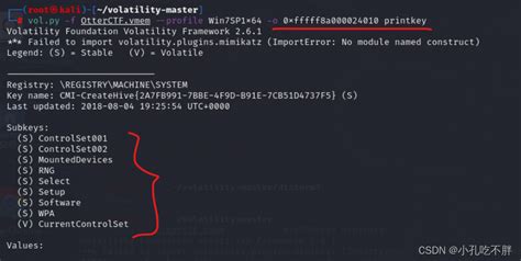 Otterctf Memory Forensics内存取证1 13 Csdn博客