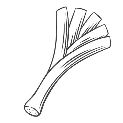 Dibujos De Puerro Para Colorear Vsun