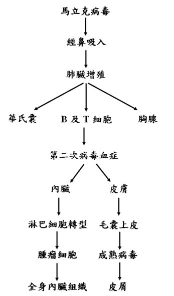 動物生產醫學資訊平台