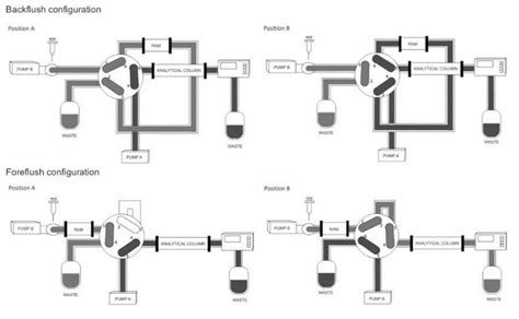 Backflush And Foreflush Configurations For The Twodimensional