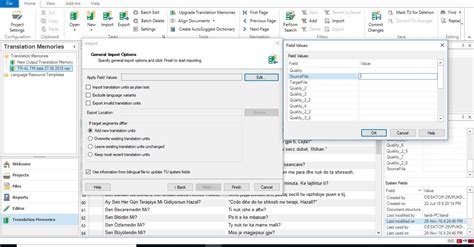 Import Tmx File With Existing Custom Field Values Source File 1