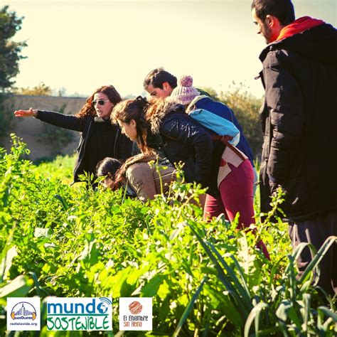 “alimentación Sostenible” Un Programa Especial De Mundo Sostenible Que