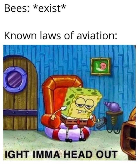 Bee Movie Meme Meme By Iiigvxdiii Memedroid