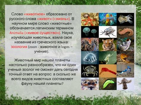 Новые виды животных