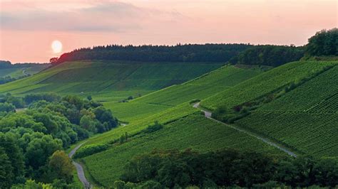 Wein Reisen Region der 1000 Hügel Wein Heimat 1 2023 VINUM