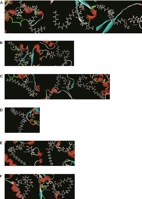 Molecular Docking Simulations Obtained At Lowest Energy Conformation Download Scientific