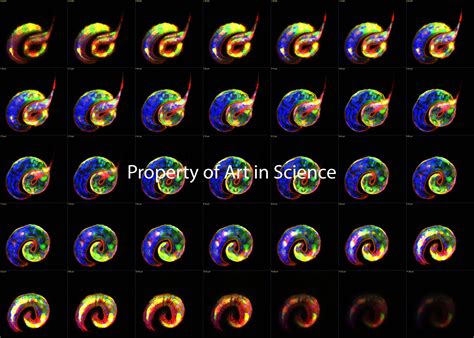 Nematode Art In Science