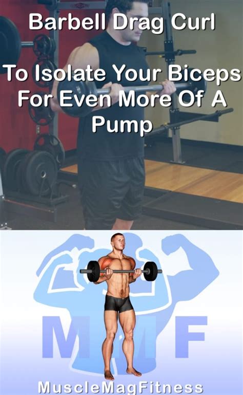 Barbell Drag Curl To Isolate Your Biceps For Even More Of A Pump