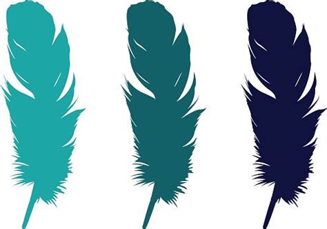 Feathers Silhouette Stock Clipart Royalty Free FreeImages