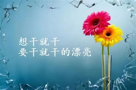 Centos Linux的替代品（五）bigcloud Enterprise Linux For Euler 2110 U 3基础安装教程bclinuxforeuler Csdn博客