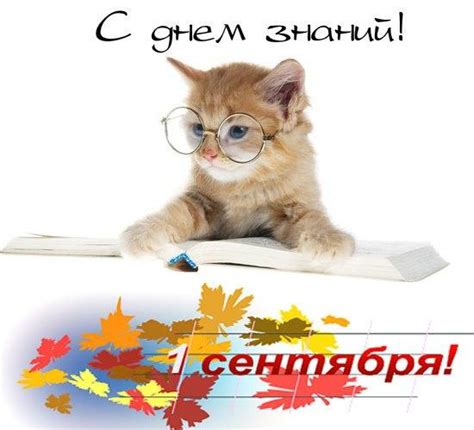 Открытка картинка 1 сентября начало учебного года день знаний поздравление кот Открытки