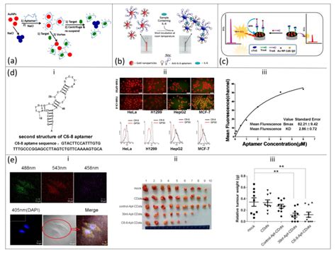 Application Of Aptamer Gold Nanoparticles Aunpsquantum Dots