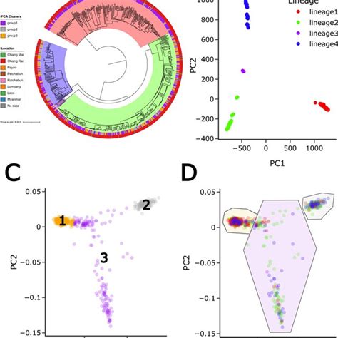population structure analysis using m tuberculosis and human