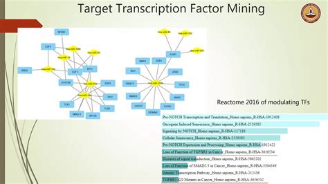 Cervical Cancer Metastasis Ppt