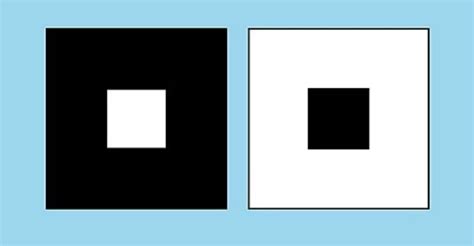 Help Make Compound Path Pathfinder Issue Radobeillustrator