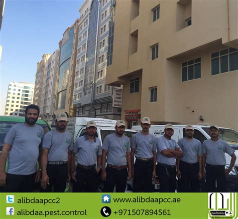 الصور شركة الابداع لمكافحة الحشرات والتنظيفات