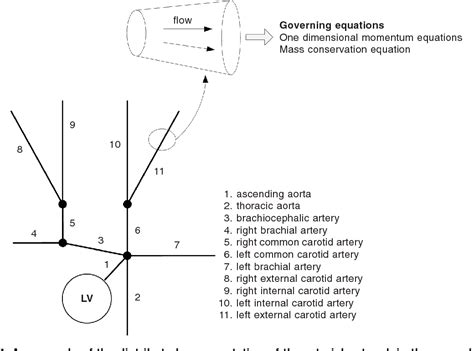 Figure 1 From Mathematical Modeling Of Cardiovascular System Dynamics