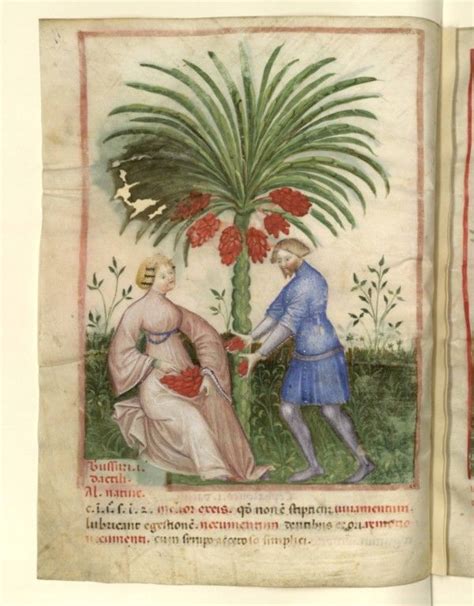 Épinglé sur MS Nouvelle acquisition latine