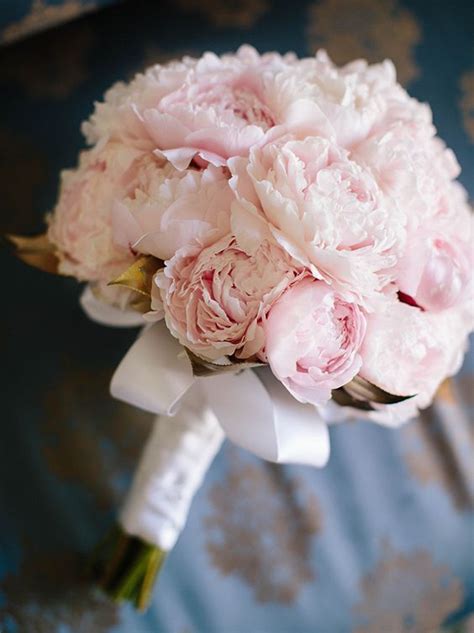 18 Peonies Bouquet Examples Design Corral