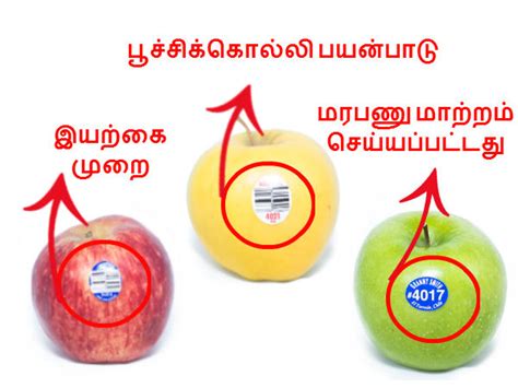 காய்கறி பழங்களில் ஒட்டப்பட்டிருக்கும் இந்த ஸ்டிக்கர் குறியீடுகள் எதை