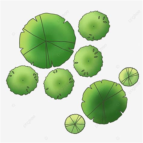 Top View Trees Land Scape Sketch PNG And PSD