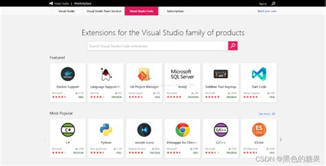 内网离线安装vscode插件 vscode内网安装插件 csdn博客