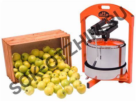 Купить пресс для отжима сока из фруктов и ягод