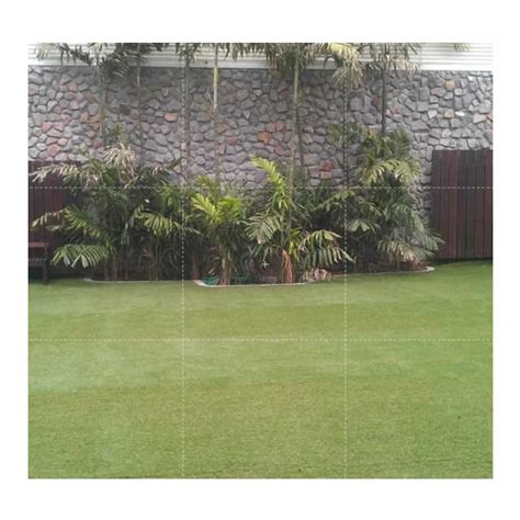 Landscaping Grass At Best Price In New Delhi By Lotus Kaleen Private